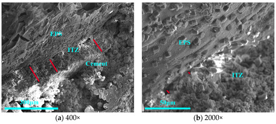 Improvement of Core–Shell Lightweight Aggregate by Modifying the Cement ...