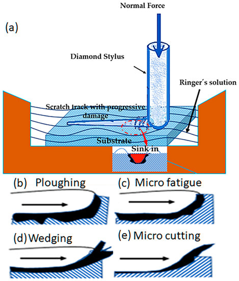 Materials | Free Full-Text | Scratch and Wear Behaviour of Co-Cr-Mo ...