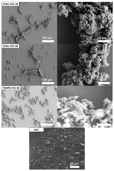 Preparation of Flexible Calcium Carbonate by In Situ Carbonation of the ...