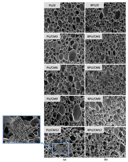 Cork Porous Biocomposites with Polyurethane Matrix Modified with Polyol ...