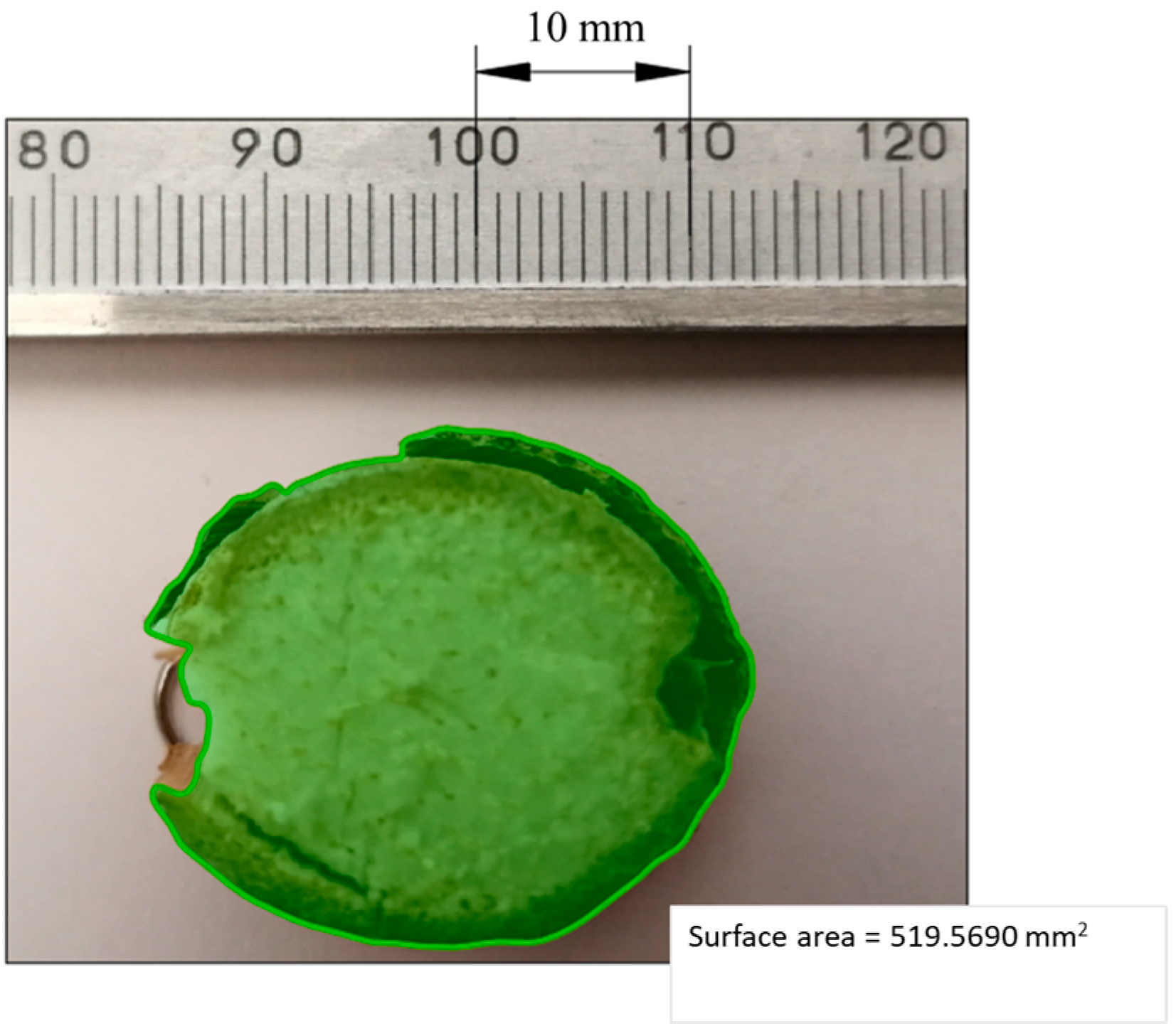 Experimental Study on the Mechanical Behavior of Dry Corn Stalk Cutting