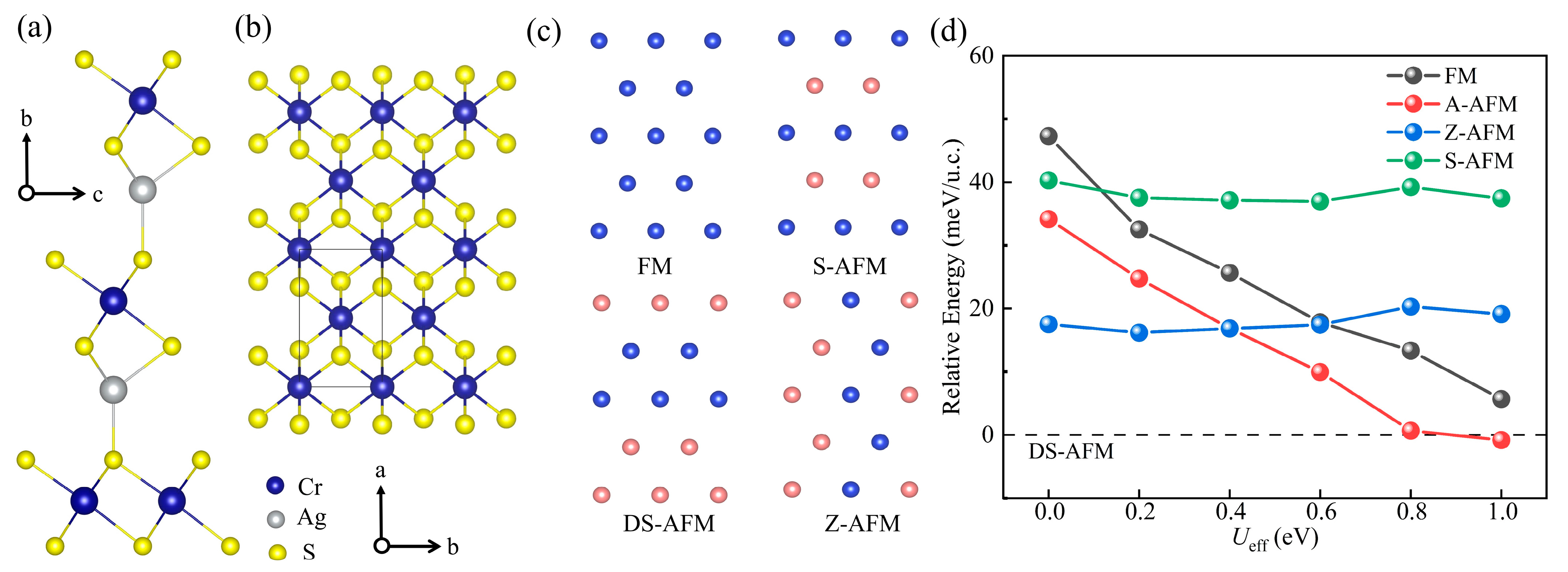 Adsorption Tuning of Polarity and Magnetism in AgCr2S4 Monolayer
