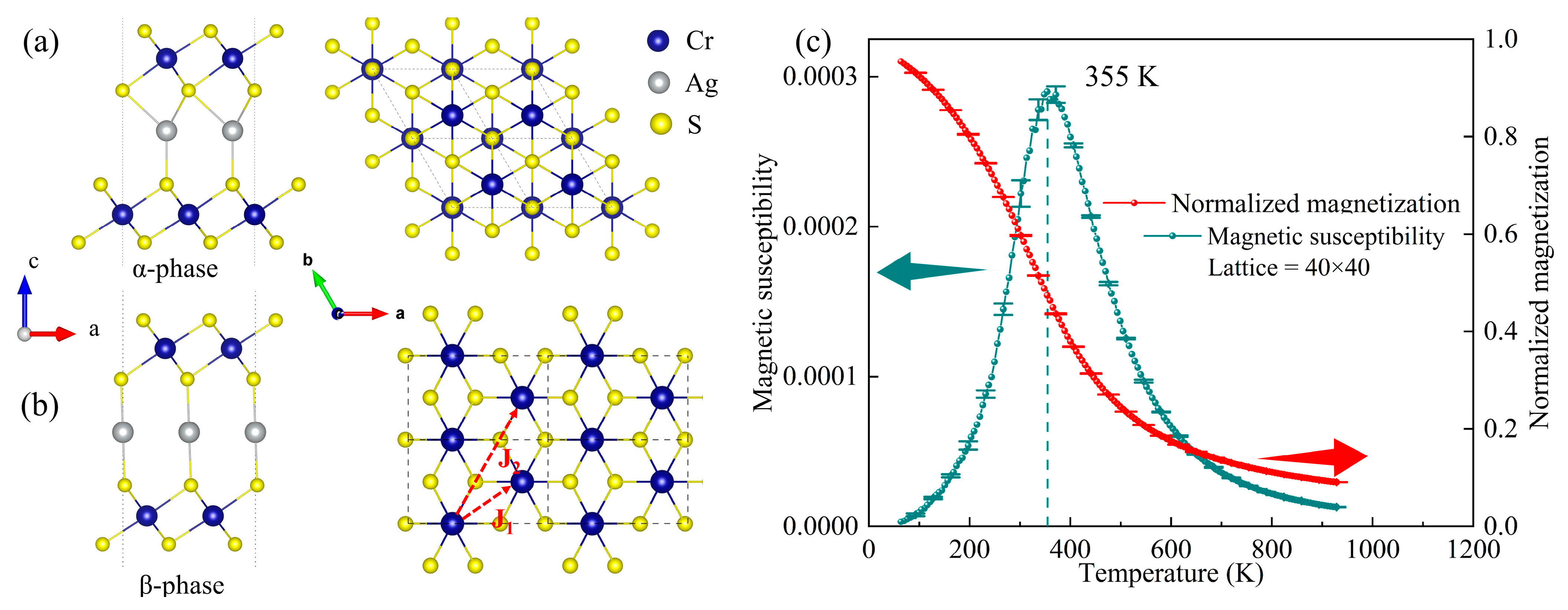 Adsorption Tuning of Polarity and Magnetism in AgCr2S4 Monolayer