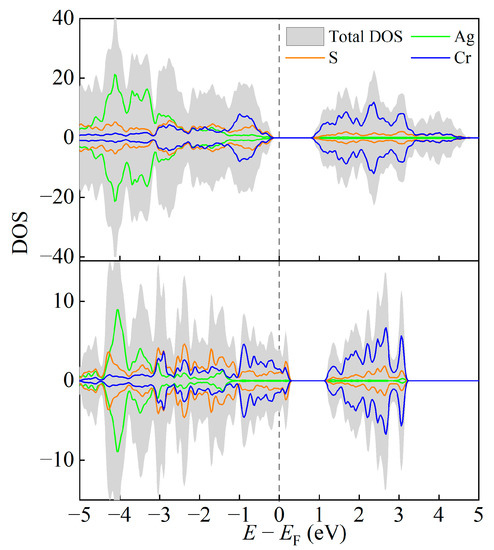 Adsorption Tuning of Polarity and Magnetism in AgCr2S4 Monolayer
