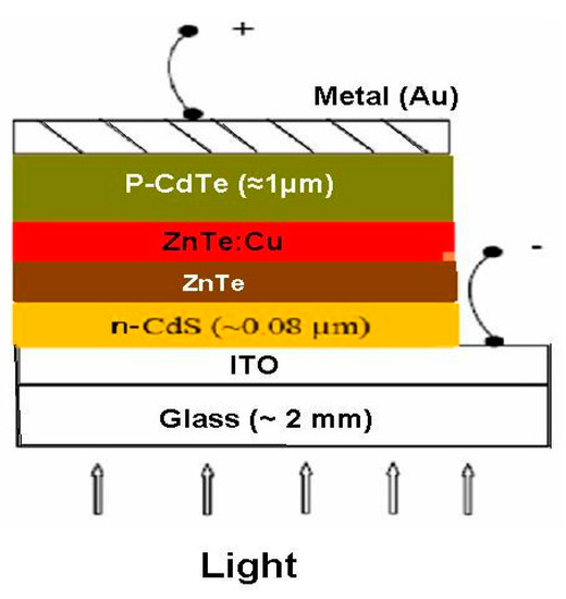 Resulting Effect of the p-Type of ZnTe: Cu Thin Films of the Intermediate Layer in ...