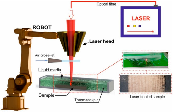 Functional Surfaces via Laser Processing in Nickel Acetate Solution