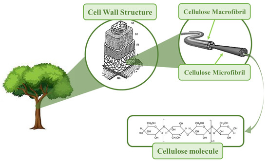 Nanotechnology Applied to Cellulosic Materials