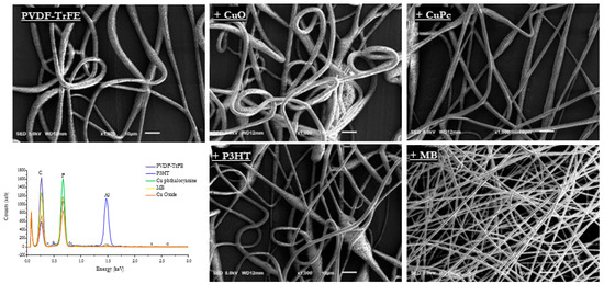 Optimization of PVDF-TrFE Based Electro-Conductive Nanofibers ...