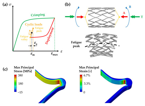 Relevant Choices Affecting the Fatigue Analysis of Ni-Ti Endovascular ...
