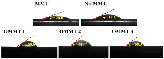 Preparation and Properties of Organically Modified Na-Montmorillonite