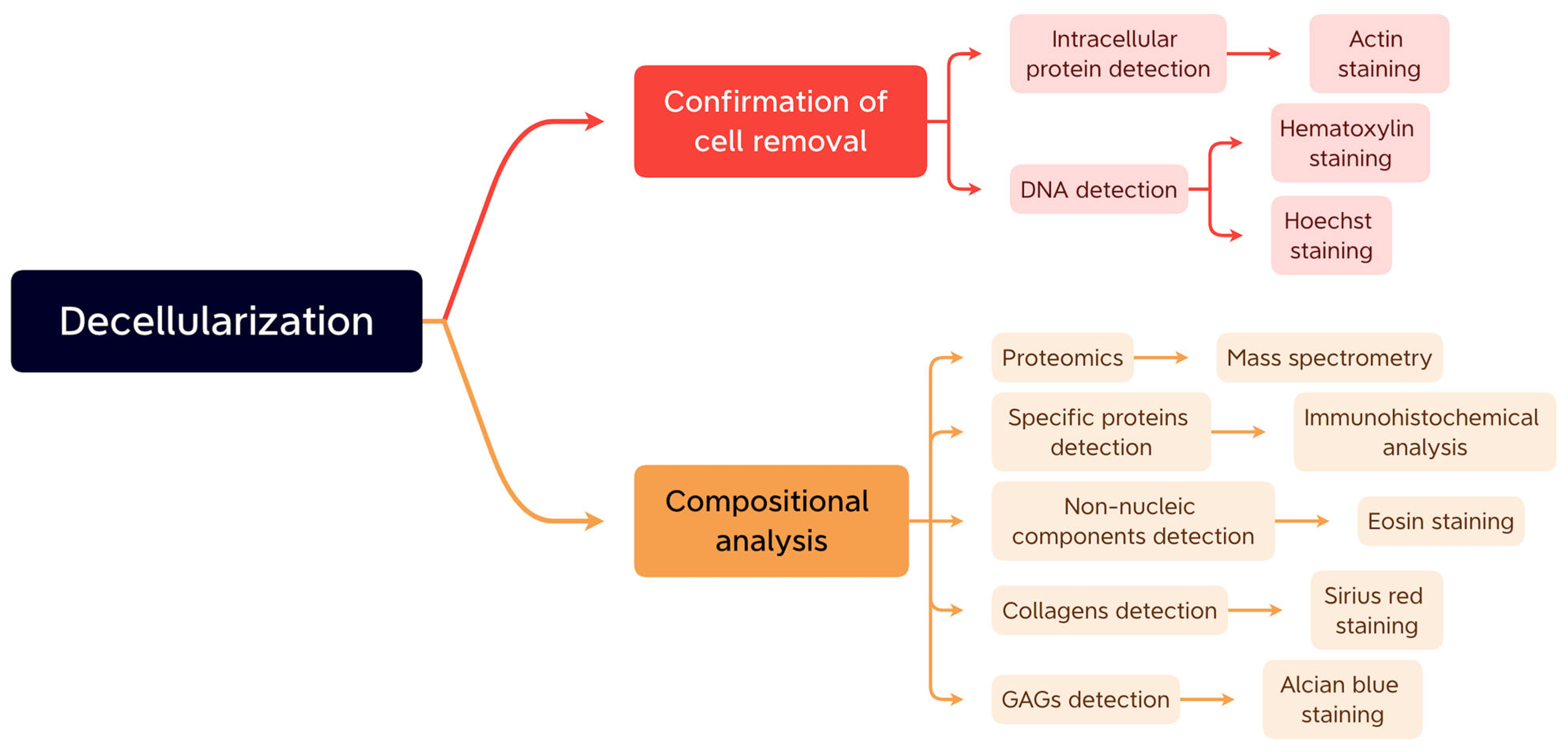 Recent Advances in Decellularized Extracellular Matrix-Based Bioinks for 3D Bioprinting in ...