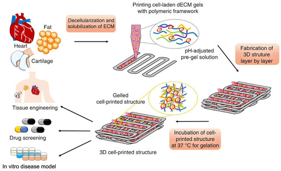 Recent Advances in Decellularized Extracellular Matrix-Based Bioinks for 3D Bioprinting in ...