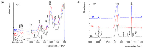 Understanding the Role of Paper-Ink Interactions on the Lightfastness ...