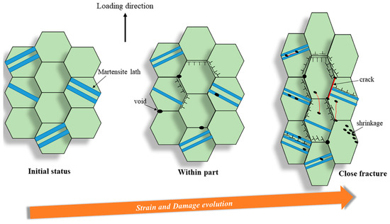 Temperature and Strain Rate Dependence on the Tensile Mechanical Properties, Constitutive ...