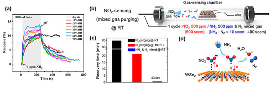 Materials | Free Full-Text | Accelerating the Gas–Solid Interactions ...