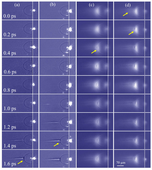 Single-Shot Multi-Frame Imaging of Femtosecond Laser-Induced Plasma ...