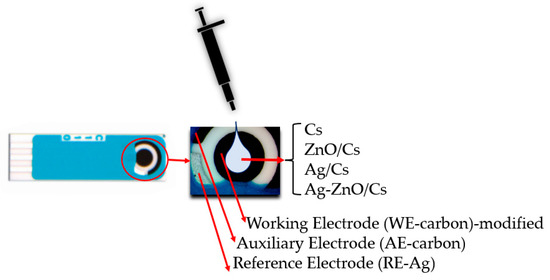 Cyclic Voltammetry of Screen-Printed Carbon Electrode Coated with Ag ...