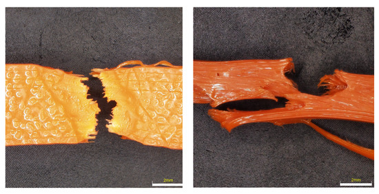Analysis of the Mechanical Properties of 3D-Printed Plastic Samples ...