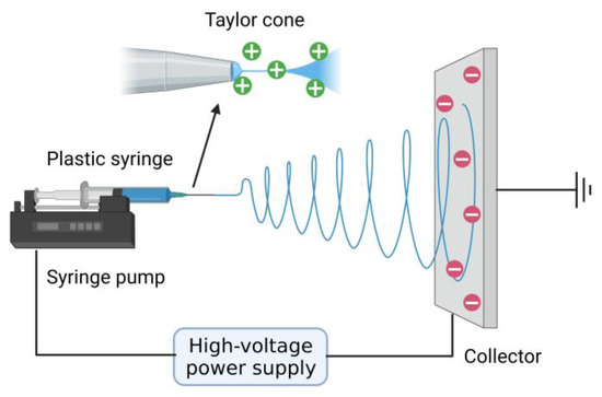 Fabrication, Microstructures and Sensor Applications of Highly Ordered ...