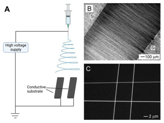 Fabrication, Microstructures and Sensor Applications of Highly Ordered ...