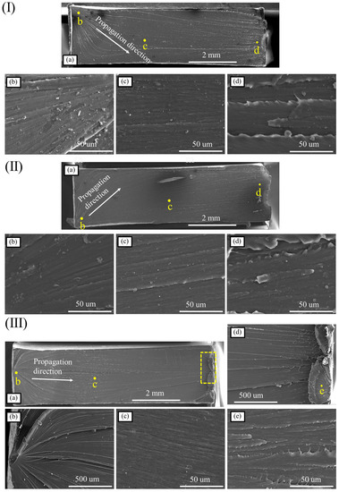 Mechanical Properties and Fracture Microstructure of Polycarbonate ...