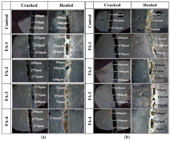 Uncovering the Mechanism of the Role of Fly Ash in the Self-Healing ...