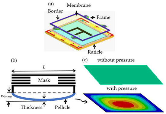 Transverse Deflection for Extreme Ultraviolet Pellicles