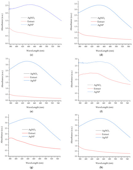 Phytosynthesis of Silver Nanoparticles Using Leonurus cardiaca L. Extracts