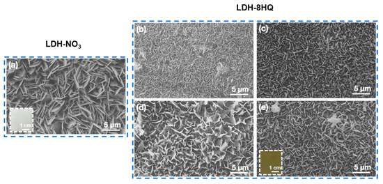 LDH-Based “Smart” Films for Corrosion Sensing and Protection