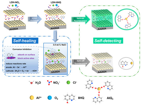 LDH-Based “Smart” Films for Corrosion Sensing and Protection
