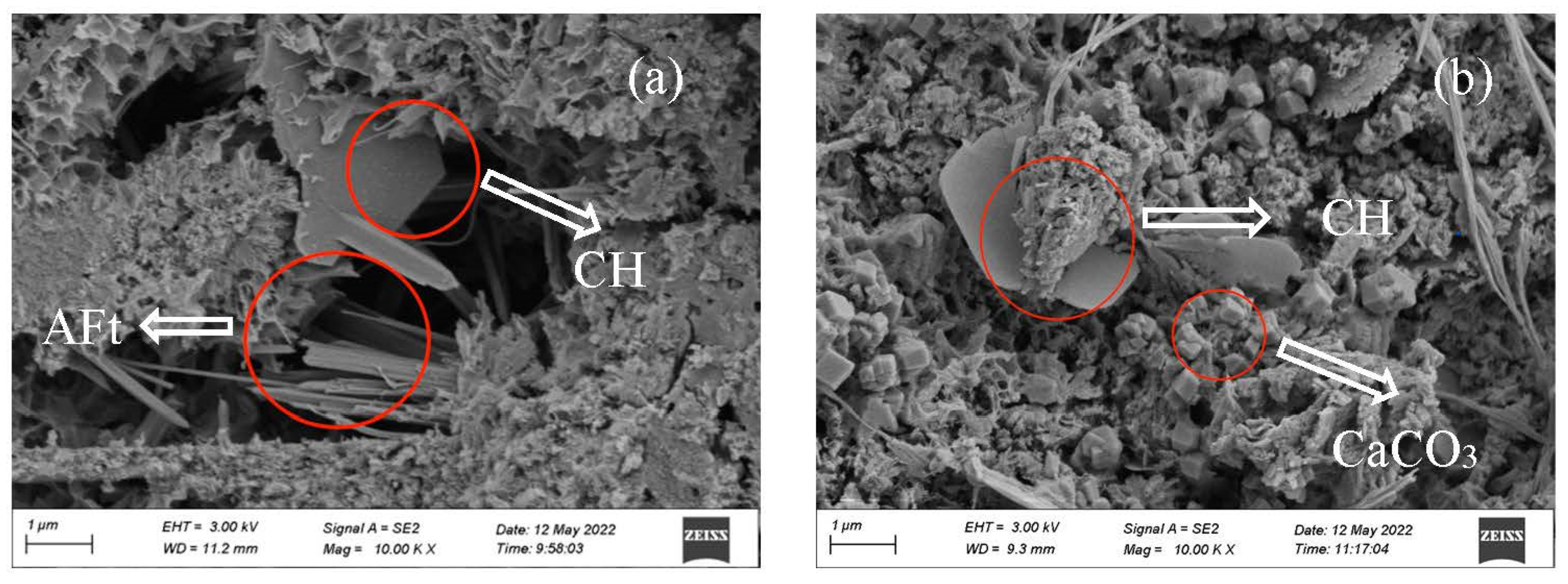 The Effect of CH on Improving the Carbonation Resistance of OPC-CSA ...