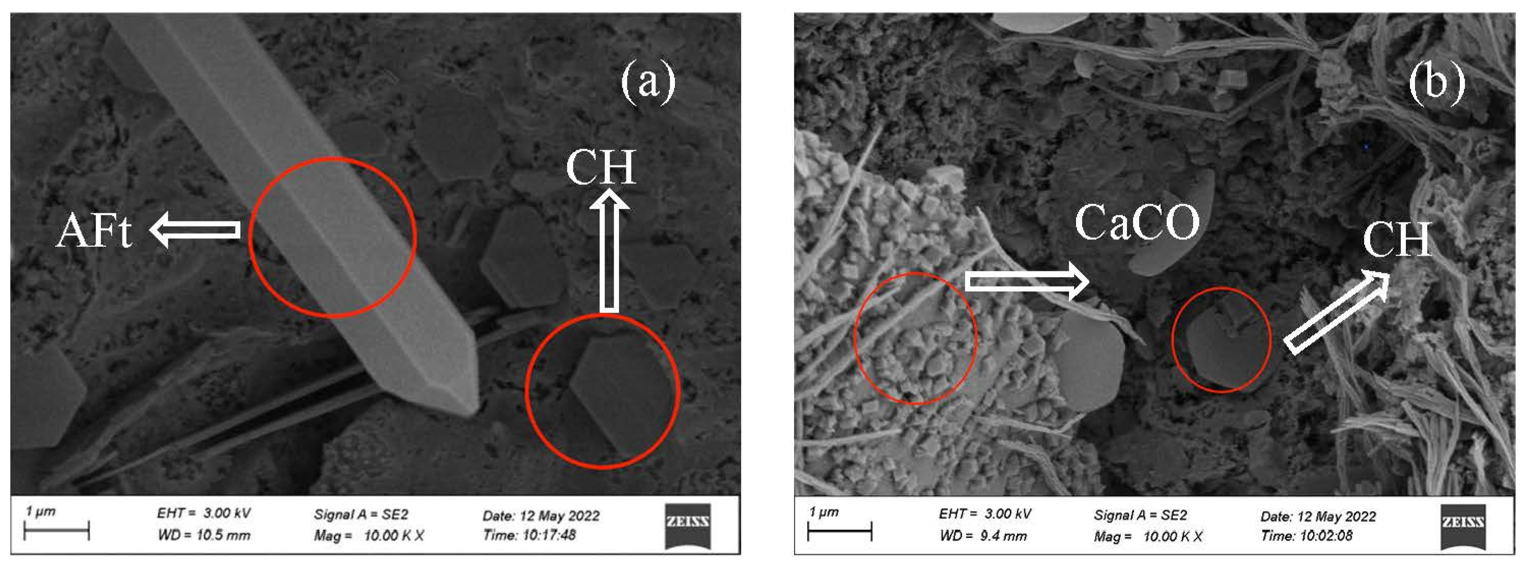 The Effect of CH on Improving the Carbonation Resistance of OPC-CSA ...