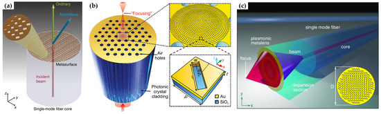 Plasmonic Functionality of Optical Fiber Tips: Mechanisms, Fabrications ...