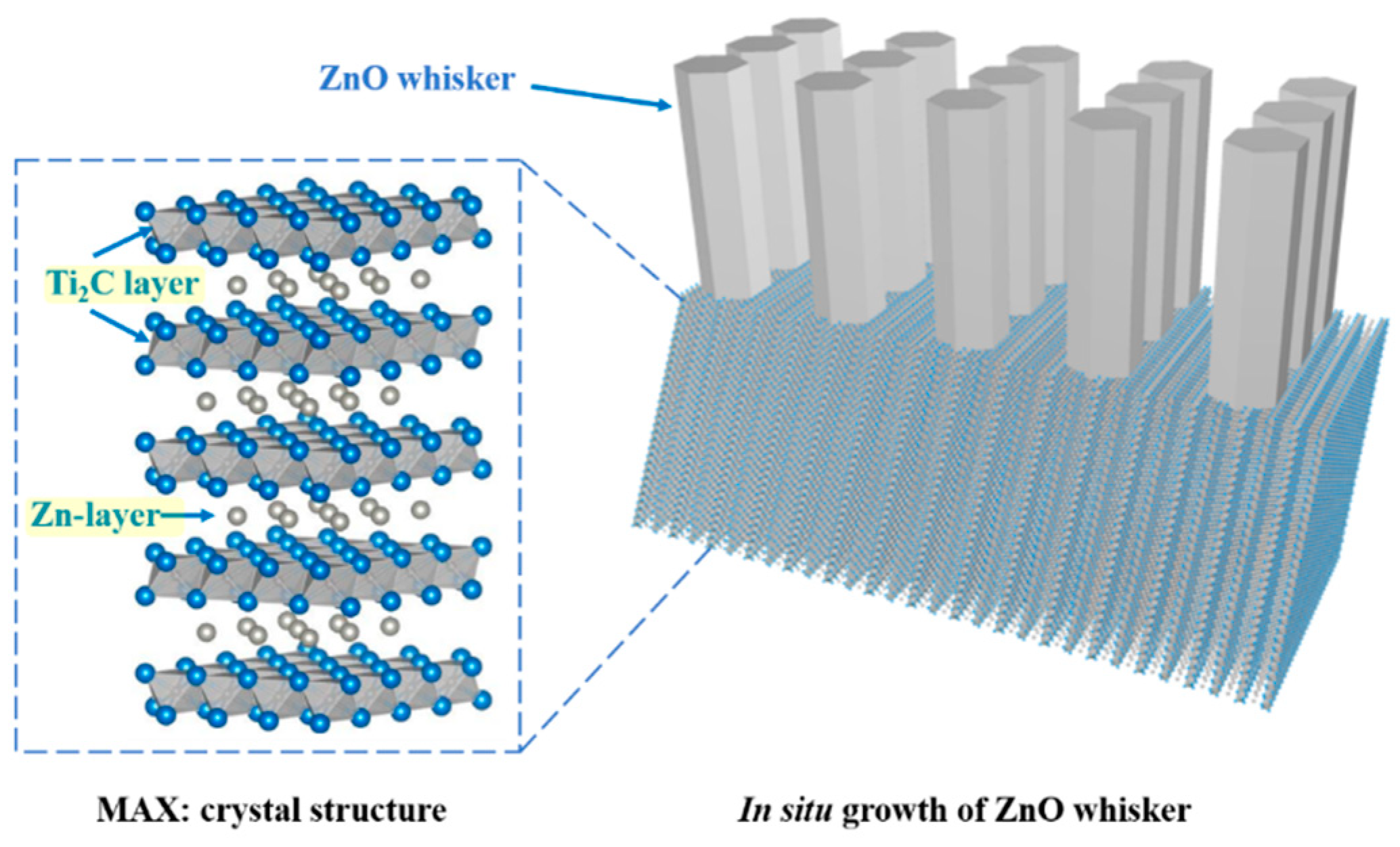 In-Situ Growth of ZnO Whiskers on Ti2ZnC MAX Phases