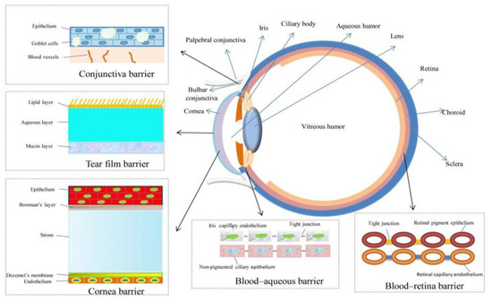 Review of Potential Drug-Eluting Contact Lens Technologies