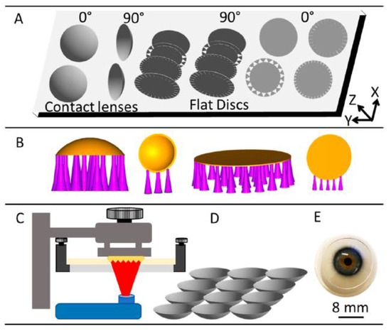 Review of Potential Drug-Eluting Contact Lens Technologies