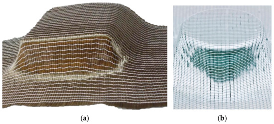 3D Textiles Based on Warp Knitted Fabrics: A Review