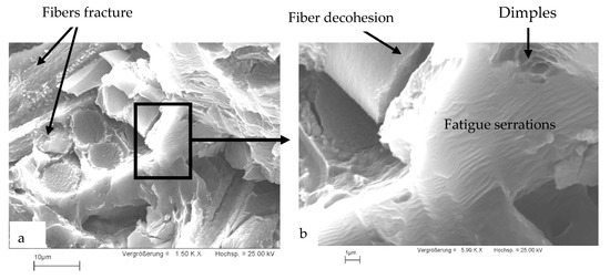 LCF and HCF of Short Carbon Fibers Reinforced AE42 Mg Alloy