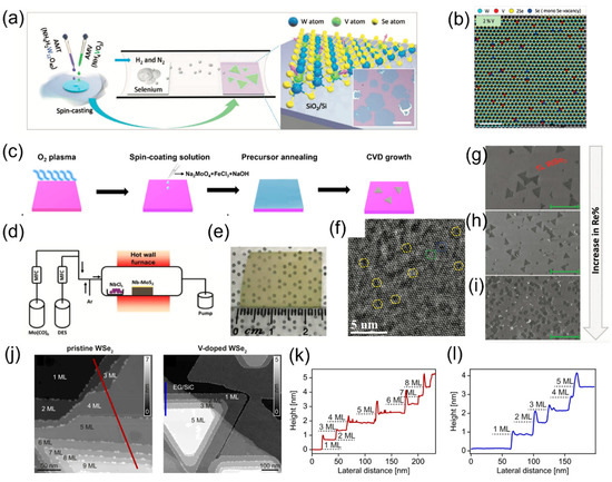 Advances in Two-Dimensional Magnetic Semiconductors via Substitutional Doping of Transition ...