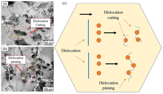 Uncovering Dislocation- and Precipitate-Induced Viscoplastic Damage in ...