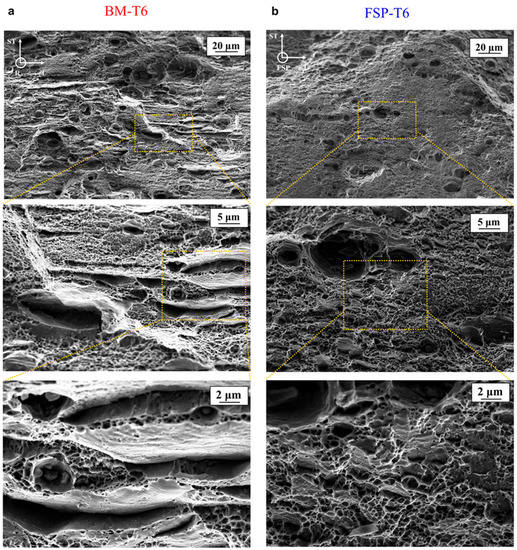 On the Competition between Intergranular and Transgranular Failure ...