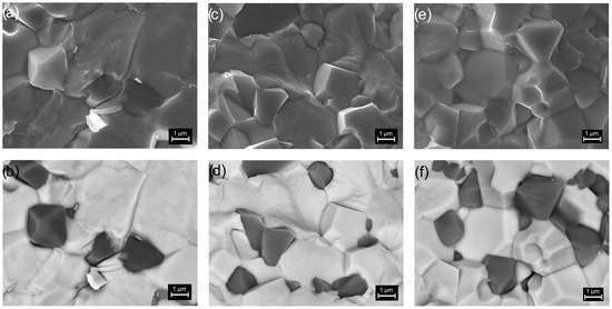 Electric and Magnetic Properties of the Multiferroic Composites Made ...