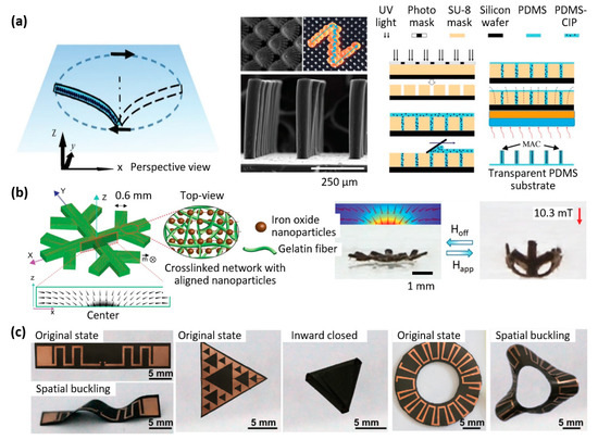 Recent Advances in Magnetic Polymer Composites for BioMEMS: A Review