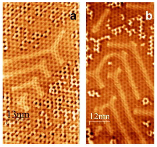 STM Study of the Initial Stage of Gold Intercalation of Graphene on Ir(111)