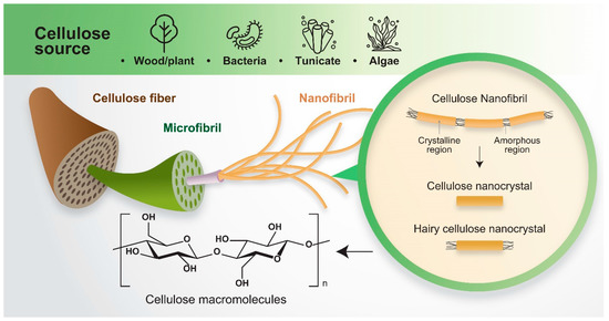 Advances in Cellulose-Based Composites for Energy Applications