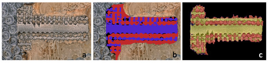 Comparative Analysis of Bone Ingrowth in 3D-Printed Titanium Lattice ...