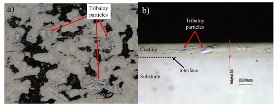 Novel Ni-P-Tribaloy Composite Protective Coating