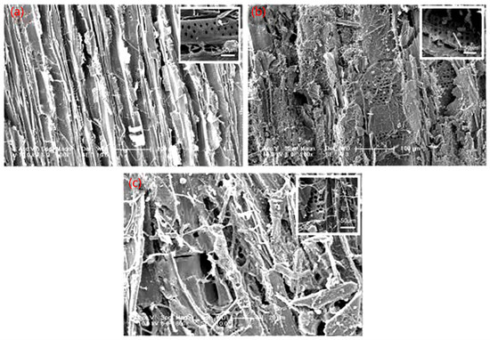 Enhanced Preservative Performance of Pine Wood through Nano-Xylan ...