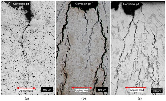 Stress Corrosion Cracking of 316L Stainless Steel Additively ...