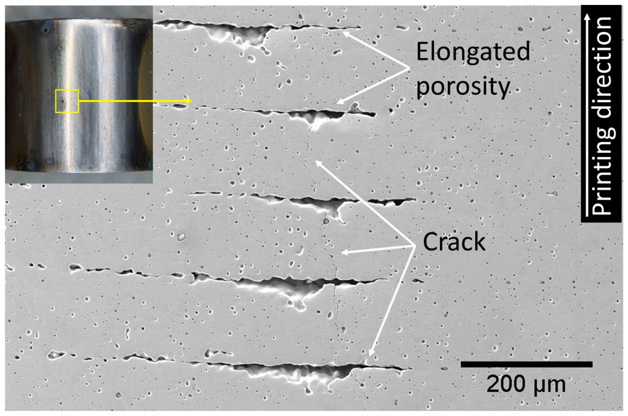 Stress Corrosion Cracking of 316L Stainless Steel Additively Manufactured with Sinter-Based ...